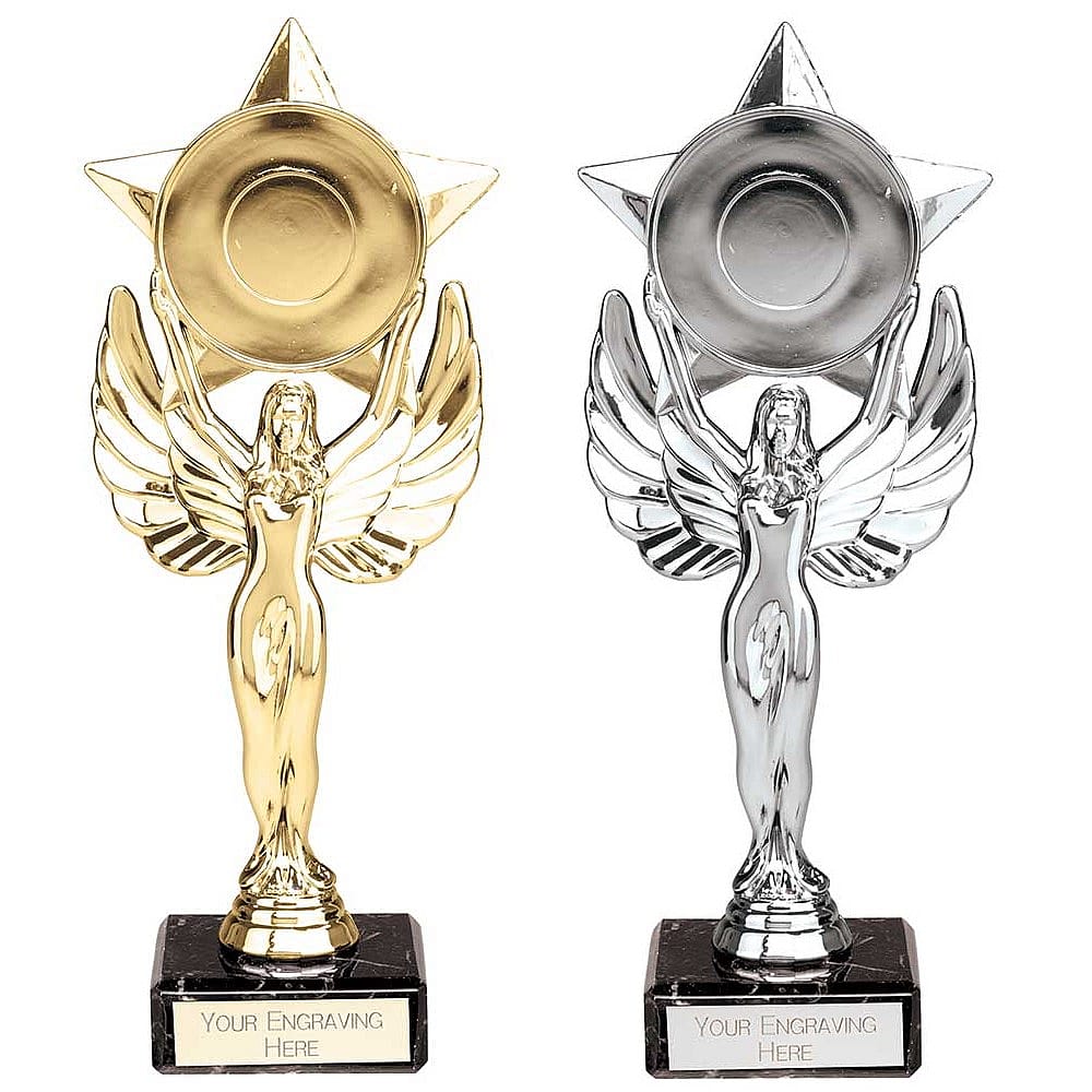 Victory Star Multi-Sport Trophy Gold or Silver - TR24504/ TR24505 ...