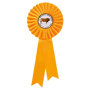 Rosettes and Place Ribbons | Impact Trophies