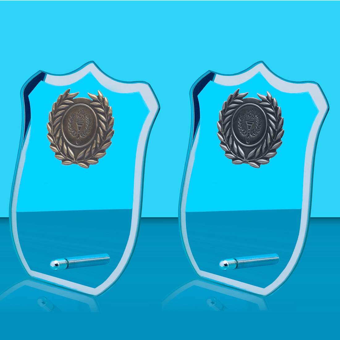 Wardour Glass Shield with Wreath - AFT.21/T | Impact Trophies