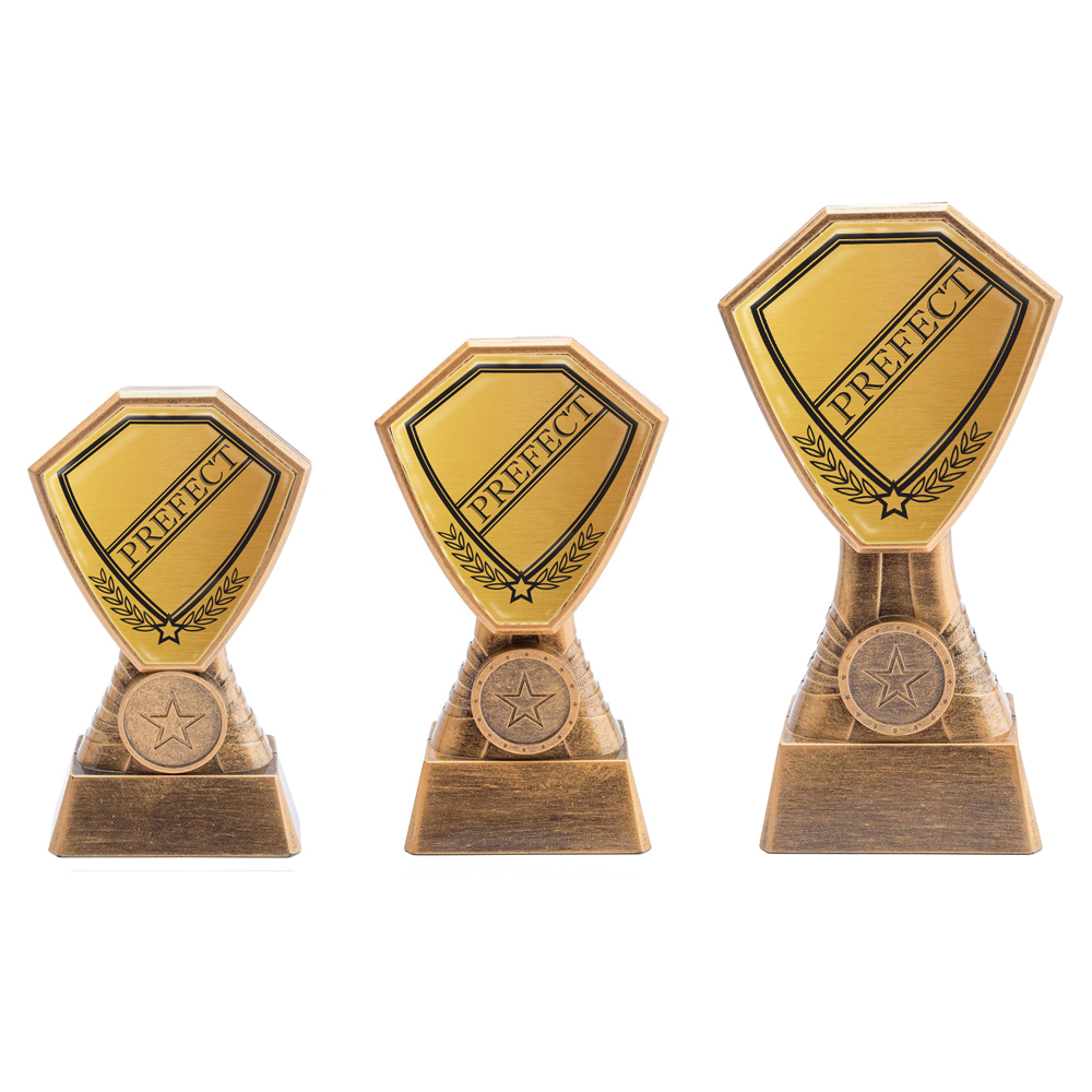 Gladiator School Prefect Award - AFP001-SCH3 | Impact Trophies