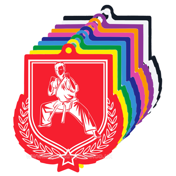 Impact Male Martial Arts Shield Medal Colour - AFMM1-MA1/ Clr | Impact ...