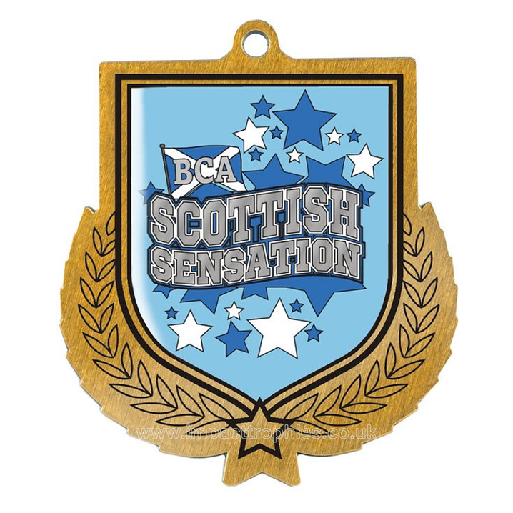 Impact Bespoke Shield Medal Large - AFMM185/ClrL | Impact Trophies